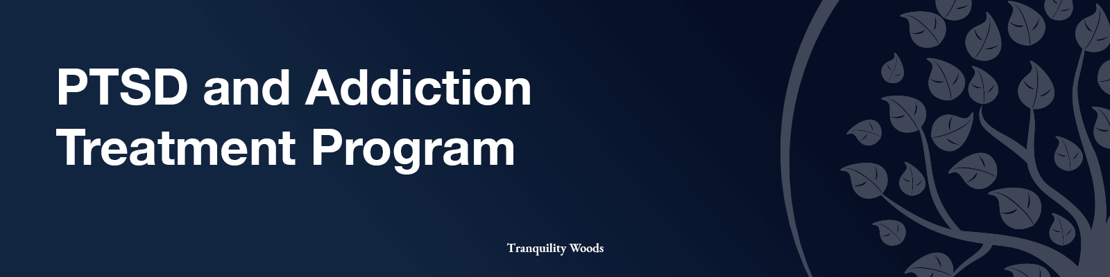 PTSD and Addiction Rehab in Maryland